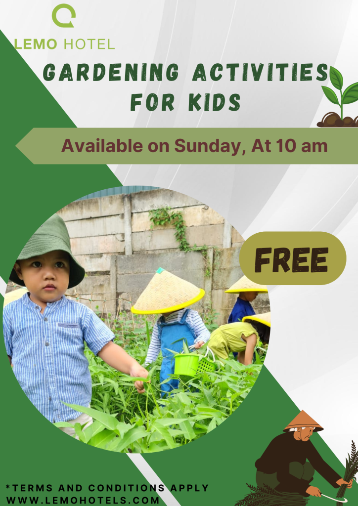 Promotions - Lemo Hotel